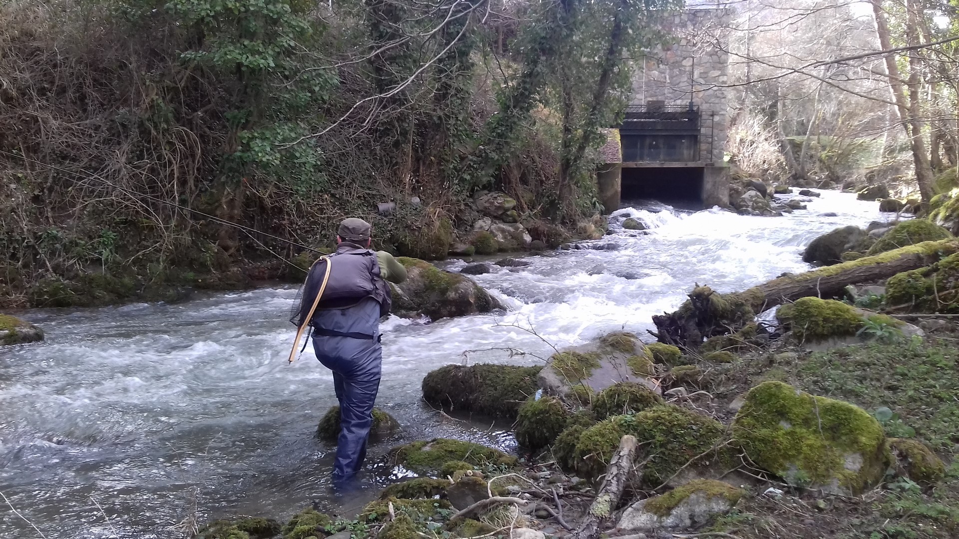Apprendre pêche mouche - Moniteur-guide de pêche à la mouche dans les ...