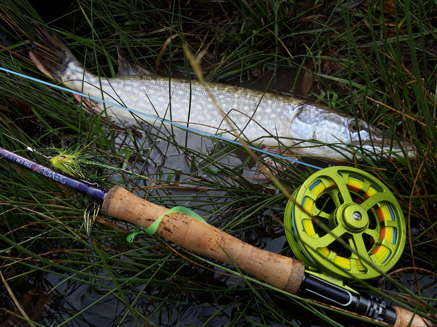 FLY-FISHING-Pyrenees - Moniteur-guide de pêche à la mouche dans les ...